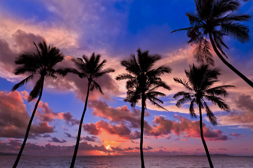 Project RESET – RahulChand